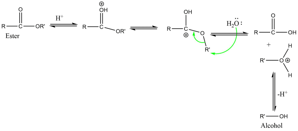 Ester hydrolysis: Easy Introduction with 8 mechanisms - Chemistry Notes