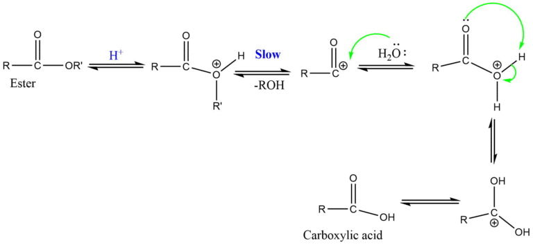 Ester hydrolysis: Easy Introduction with 8 mechanisms - Chemistry Notes