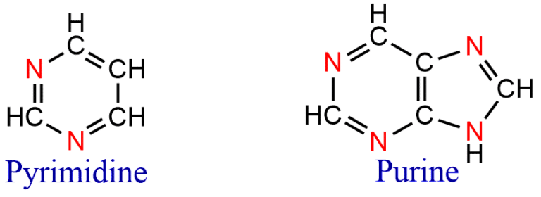 Heterocyclic Compounds -Definition, Classification, Examples ...