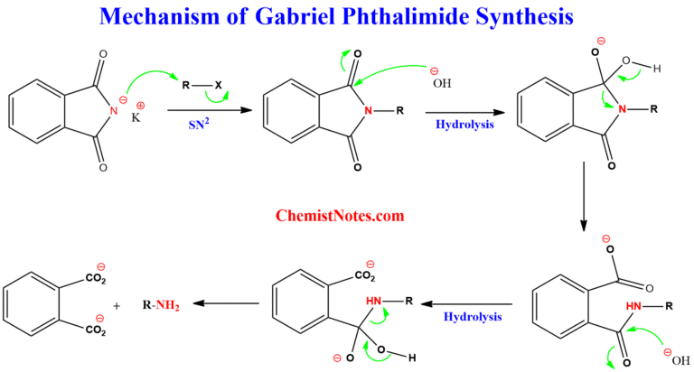 Gabriel synthesis: Easy mechanism, procedure, applications - Chemistry ...