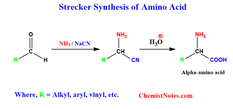 Strecker Synthesis of Amino Acid: Easy Mechanism, applications ...