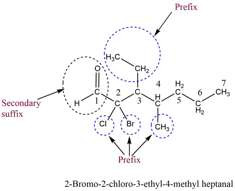 IUPAC nomenclature of organic compounds: 6 Rules and examples ...