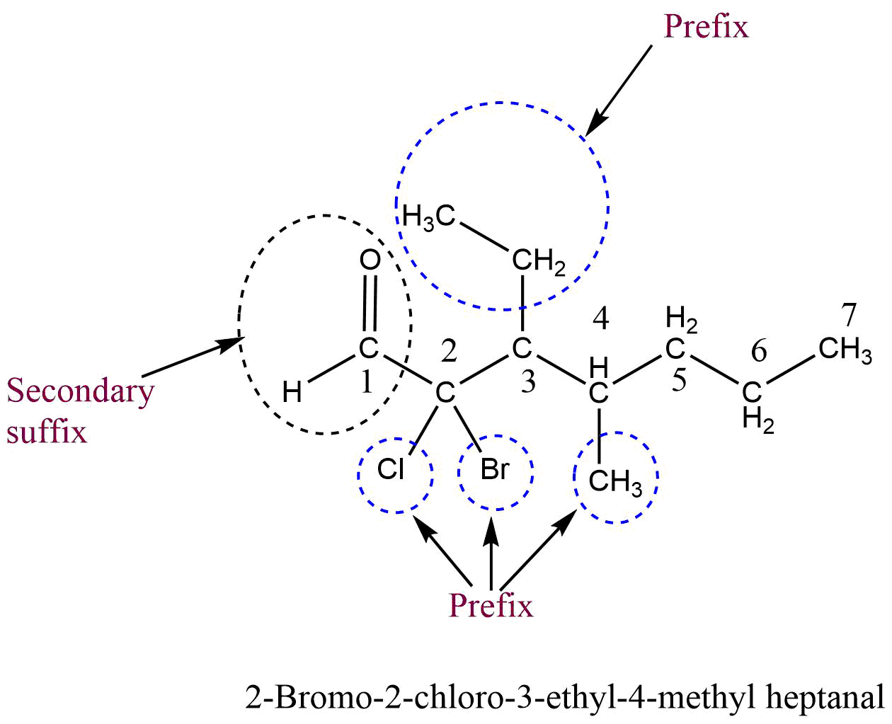 IUPAC nomenclature of organic compounds: 6 Rules and examples ...
