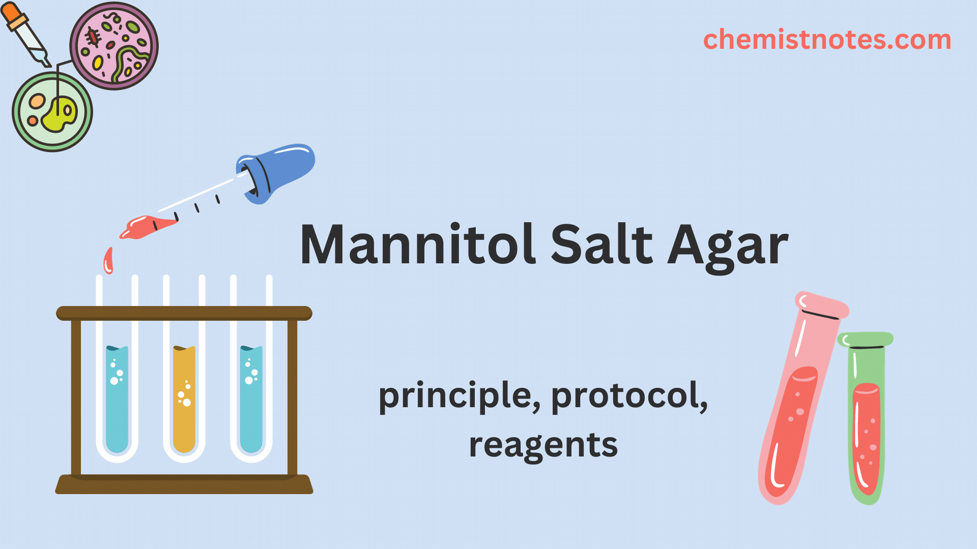 Mannitol Salt Agar: Definition, Principle, Recipe, Reliable Application ...