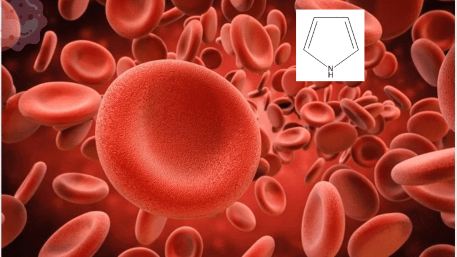 Pyrrole Disorder: Symptoms, Causes, and Treatment - Chemistry Notes