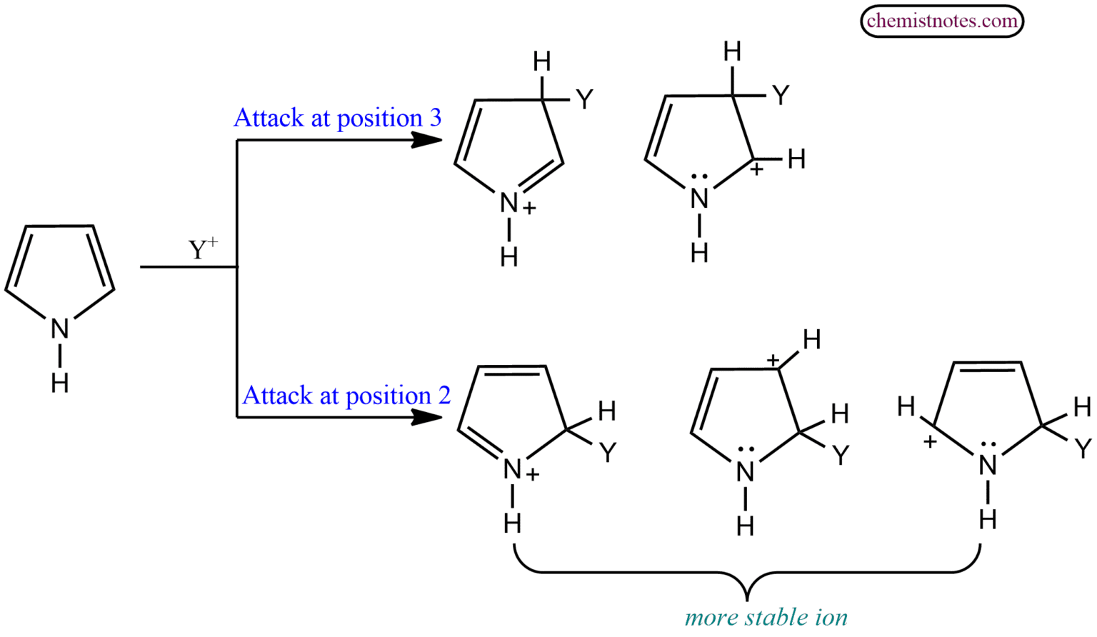 Pyrrole, Furan, and Thiophene - 5-membered aromatic heterocyclic ...