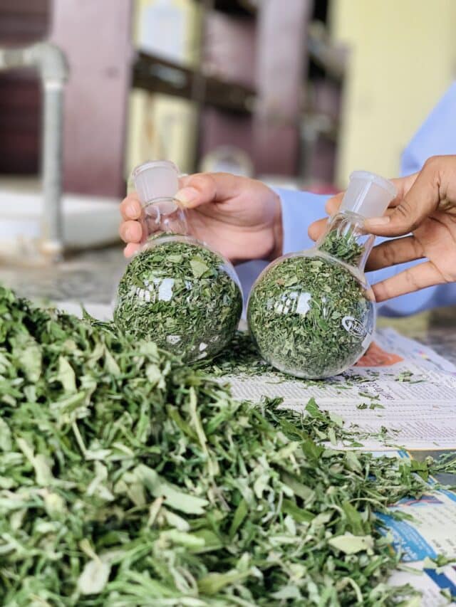 Cannabinoids: Definition, Types, Benefits, and Risk - Chemistry Notes