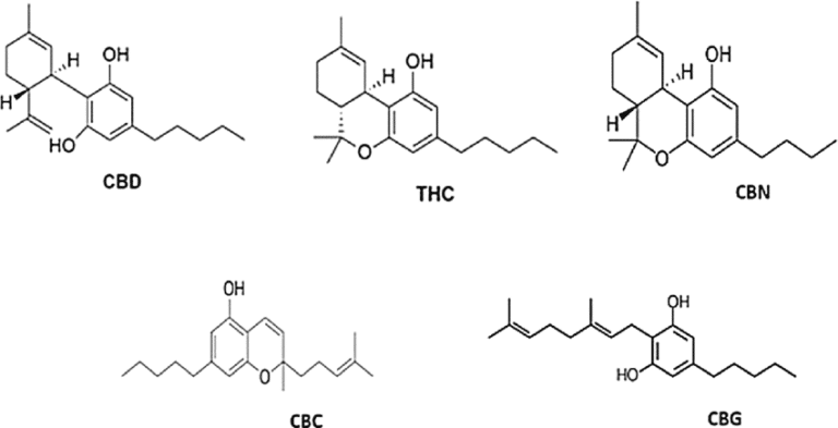 Cannabinoids: Definition, Types, Benefits, and Risk - Chemistry Notes
