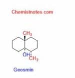 Geosmin: All about the Earthy Smell - Chemistry Notes