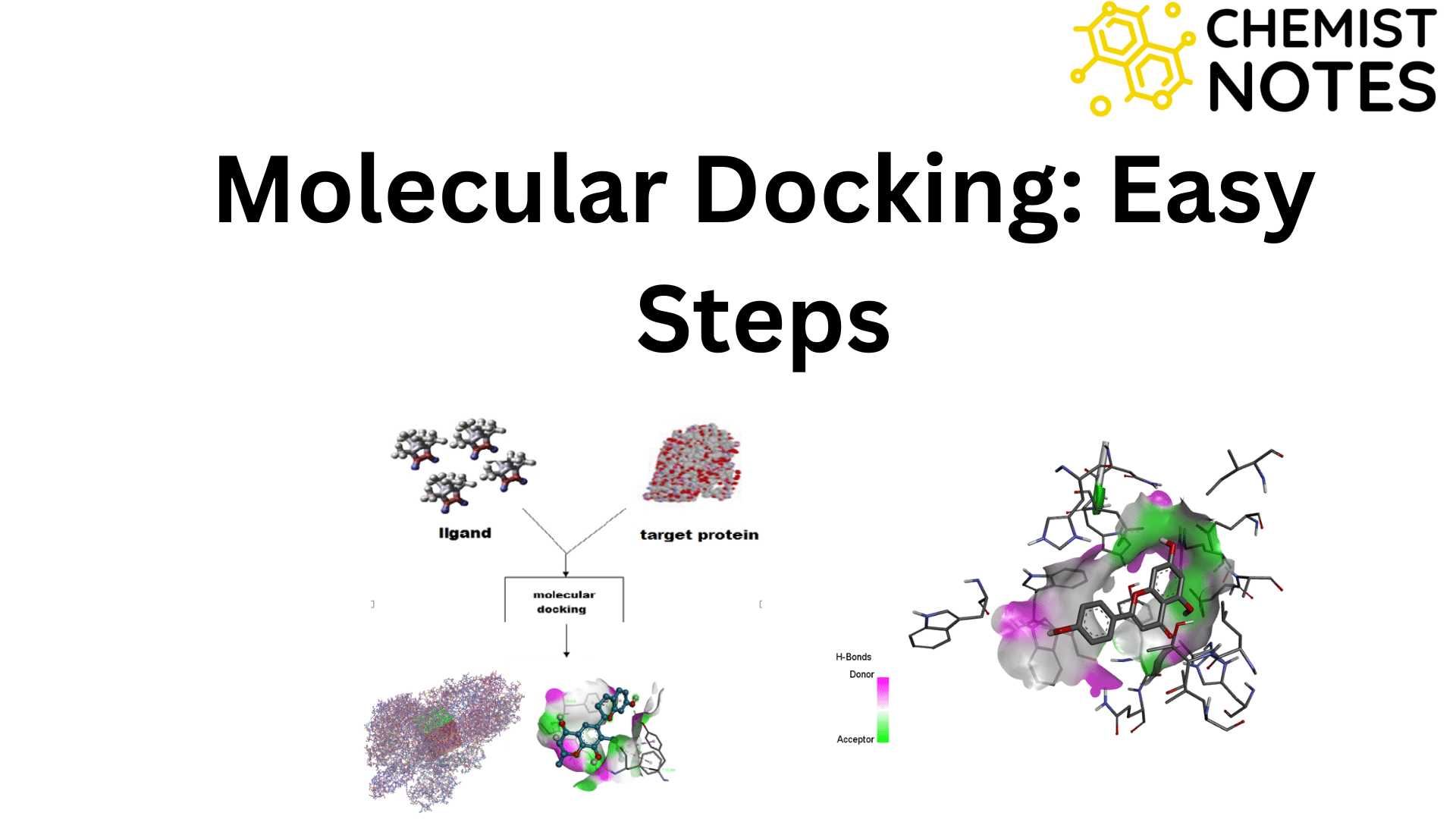 How to Perform Molecular Docking? Easy Steps - Chemistry Notes